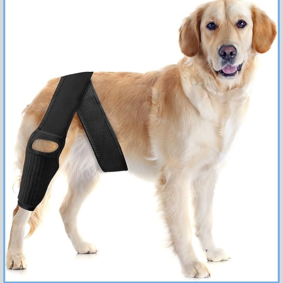 Dog | Dog Knee Brace Elastic Support Adjustable ...